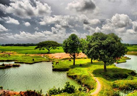 A Very Beautiful Village Of Bangladesh For Pinterest Campaign