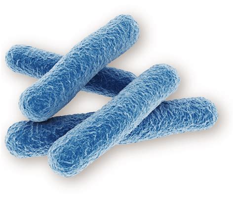 Microbial Fermentation