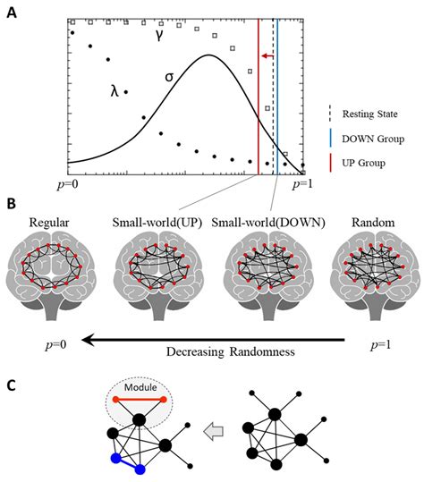 Upregulation Of A Small World Brain Network Improves Inhibitory Control An Fnirs Neurofeedback