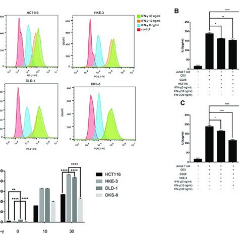 A Higher Pd L1 Expression In Membrane Was Induced By Ifn γ In