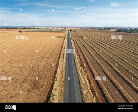 Aerial View Of A Long Straight Country Road Between Two Dry Fields At