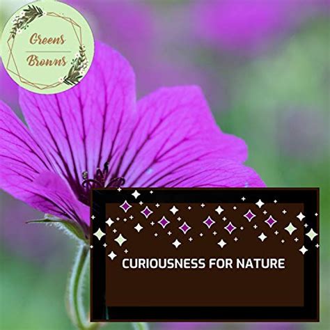 Amazon Music Calm Music Massage Tribeのcuriousness For Nature
