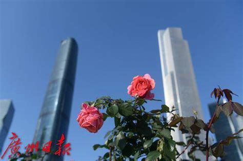 今天升温2℃~8℃，明天广州还是个大晴天市县气温广东