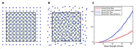 8 Comparison Of Regularization On Control Points And On The Dense
