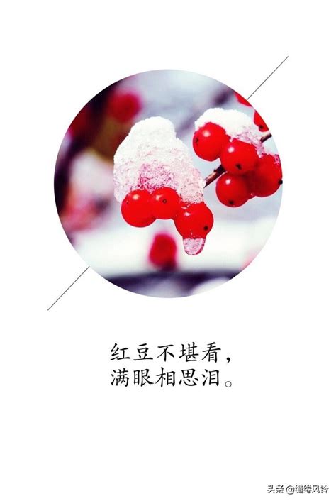 红豆相思图片入骨相思红豆相思入骨相思大山谷图库