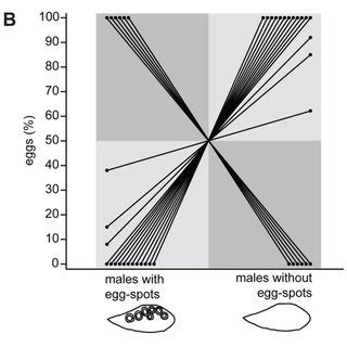 Dots Connected Through Lines Indicate Male Pairs Used In Experiments Download Scientific