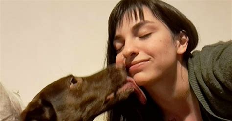 Se Fue De Viaje Dejó A Su Perra En La Guardería Y Se Escapó La Odisea
