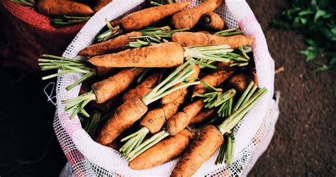 What Is An OCT Scan And What Does It Detect HN Magazine