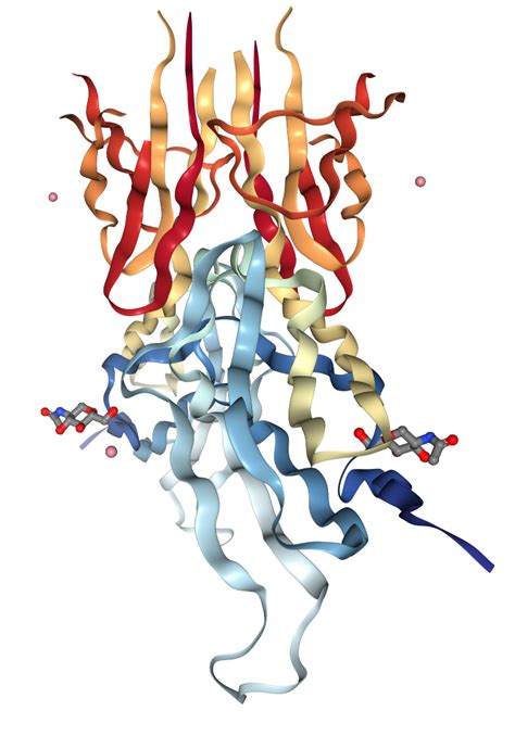 C Kit General Information Sino Biological