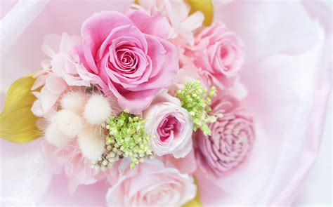 お祝いの花・贈り物 記念日やお見舞いに 千葉市 花のアバンティ