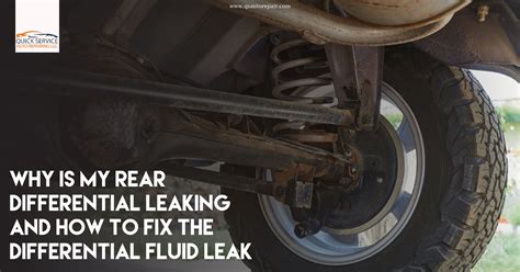 What Is Rear Differential Seal Leak at Milla Anstey blog
