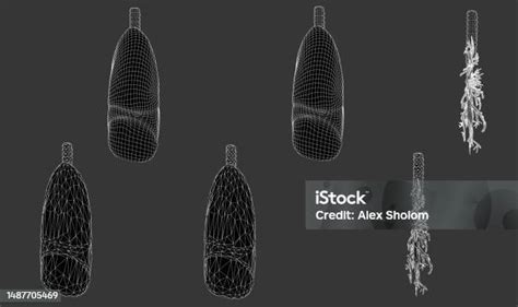 벡터 세트 3d 폐와 기관지 흰색 배경에 격리 의료 디자인을위한 요소 3차원 형태에 대한 스톡 벡터 아트 및 기타 이미지 3
