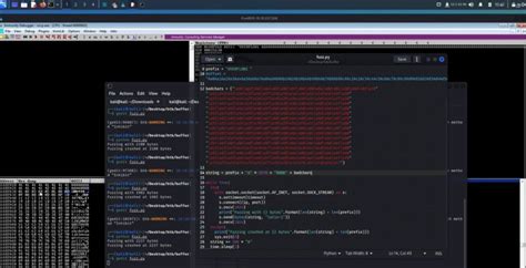 Cybersecurity Hacking Overflow Bufferoverflow Ctf Ethicalhacking Rishav Anand