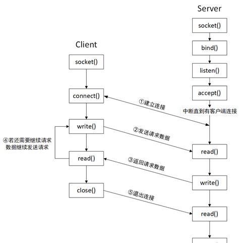 C Socket入门 真真真甜 博客园