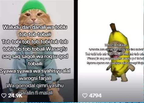 Viral Di Tiktok Ternyata Ini Makna Dan Lirik Lagu Tob Tobi Tob