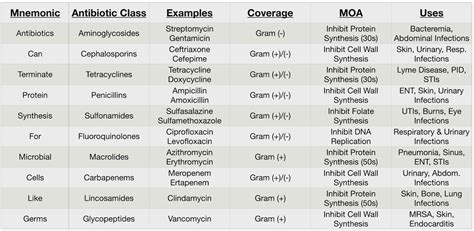 Antibiotic Classes And Drug Names Anatomy System Human Body Anatomy Diagram And Chart Images