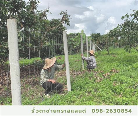 ติดตั้งง่าย รั้วตาข่ายเหล็กแรงดึง กันสนิม รั้วกราสแลนด์