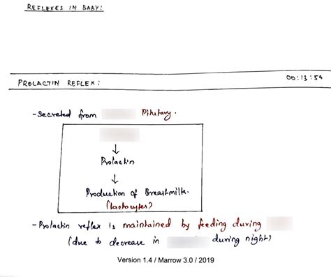 Prolactin Reflex Diagram Quizlet