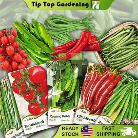 JC GARDEN VEGETABLE SERIES K K VEGETABLE SEED GARDENING PLANTING TANAMAN SAYURAN BIJI