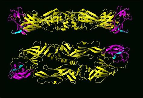 Protein Structure Citizendium