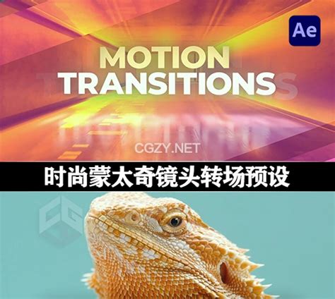 Ae模板 时尚蒙太奇镜头翻转折叠旋转平移拉伸转场预设 Motion Transitions Cg资源网