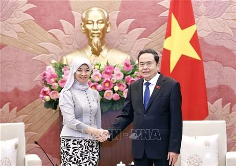 越南国会主席陈青敏会见aipa秘书长 Nhan Dan Online