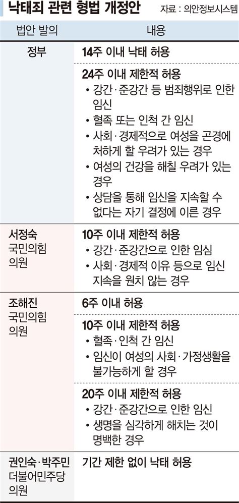 낙태처벌법 손놓은 국회 36주 임신중지 유튜브로 논란 파이낸셜뉴스