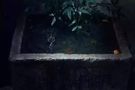 春水微瀾靜水流深 每日頭條