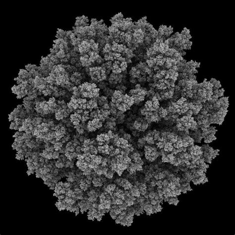 Diffusion Limited Aggregation Article By Softology In 2024 Digital