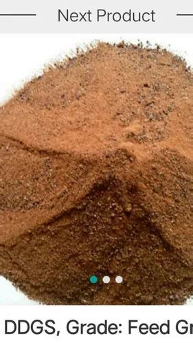 Powder Ddgs Packaging Type Pp Bag Packaging Size 50 Kg At ₹ 24 Kg