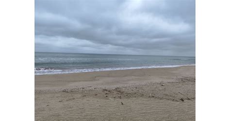 Общинските съвети в Балчик и Шабла излязоха с декларации против ВЕИ в морето