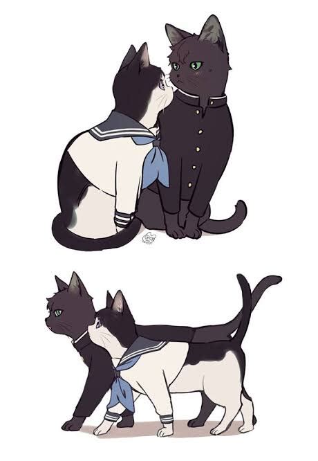 1933 Best Lazy Cat Images On Pholder Catswithjobs Cats And Lazy Cats