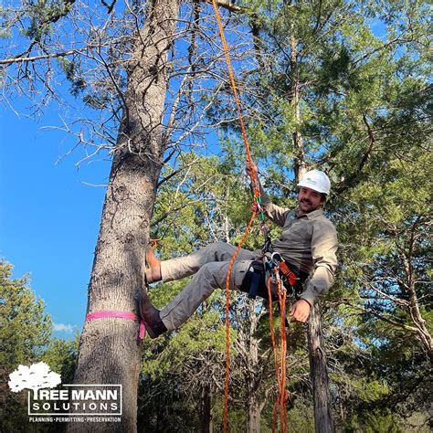 Tree Mann Solutions On Linkedin Treemannsolutions Safety