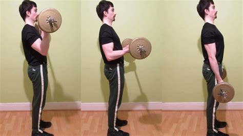 Negative Bicep Curls And Exercises Tutorial