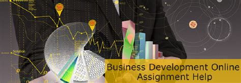 The Most Professional Business Development Assignment Help