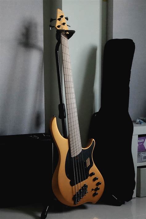 Dingwall Ng3 5 String Bass Hobbies And Toys Music And Media Musical