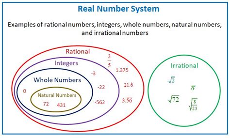 The Real Number System A Complete Guide