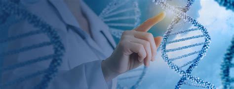 Dna Microarray Sequencing Gene Chip Analysis Service Company Capitalbio