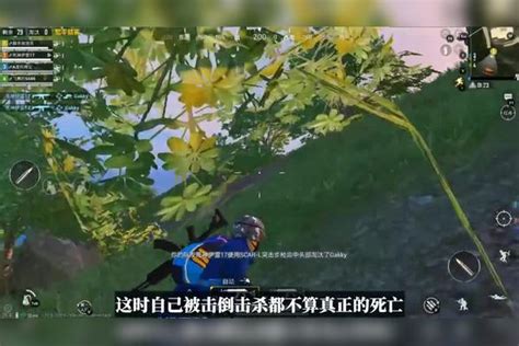 为什么度假岛单人双排、单人四排不能复活？光子有个小心思双排光子复活
