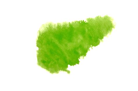 추상 녹색 또는 밝은 녹색 수채화 확산 또는 흰색 배경에 얼룩 0명에 대한 스톡 사진 및 기타 이미지 0명 Blessing