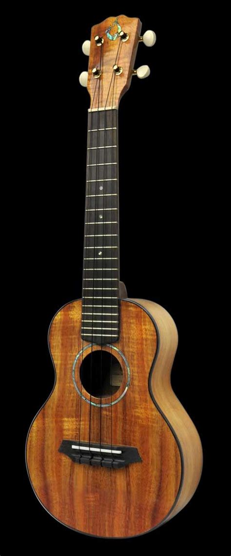 ウクレレの販売～gストリング・ウクレレ【ガッキコム】