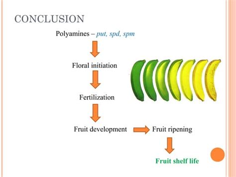 1 Role Of Polyamines In Flowering And Fruit Ripening Ppt