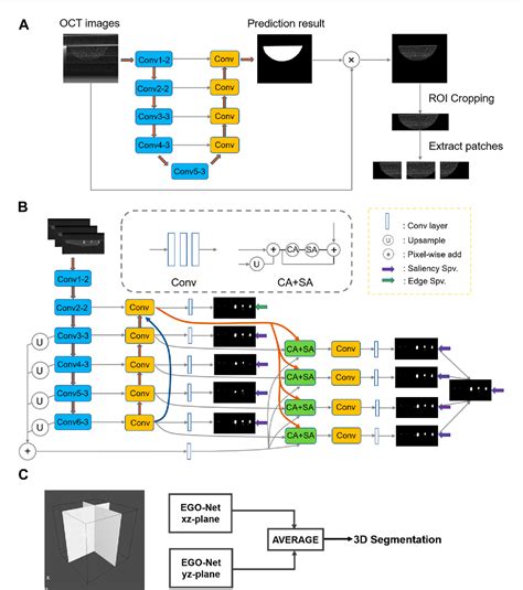 Figure 1 From Automated Detection And Growth Tracking Of 3d Bio Printed