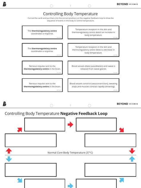 Controlling Body Temperature Feedback Loop Pdf Vasodilation
