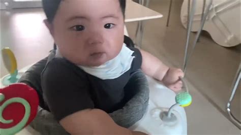 보행기 처음 탄 호돌 앞으로 못감주의 통통한 아기 육아휴직 일상 Youtube