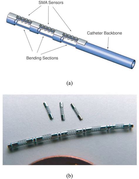 E A Schematic Of A Niti Sma Sensor Mounted On A Sma Backbone Used As