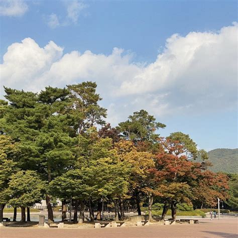 스포원파크 금정체육공원 가을 나들이 네이버 블로그