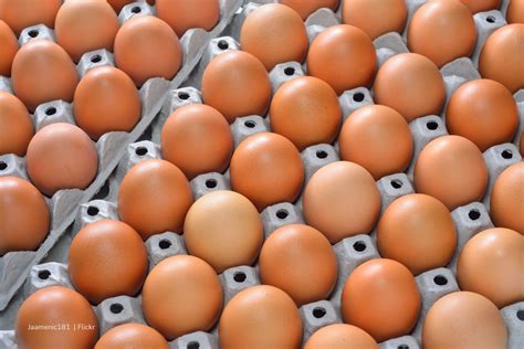 ¿huevos Criollos O Industriales ¿categoría A O B Esto Es Lo Que Debe