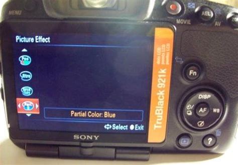 Selective Coloring Using A DSLR Camera Or GIMP HubPages