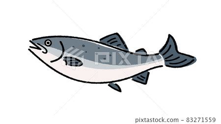 三文魚 插圖素材 83271559 PIXTA圖庫